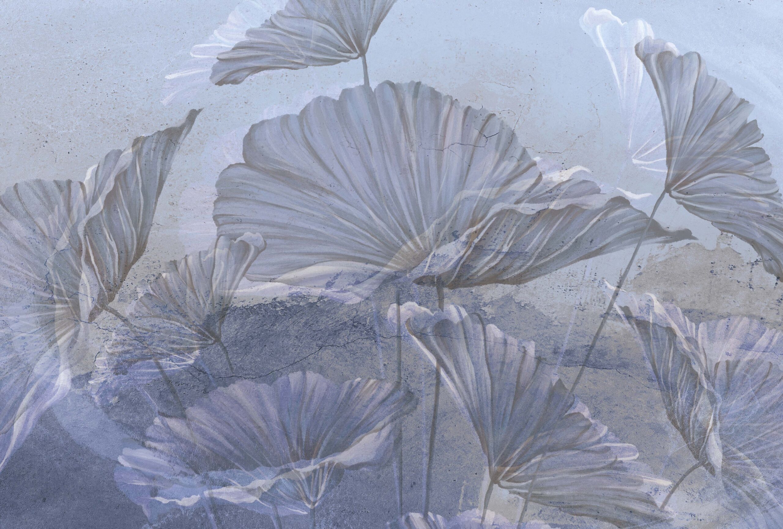 Pandora - Houseframe